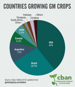 พืชดัดแปลงพันธุกรรม (GM Crops)#1 จีเอ็มโอ, วิธีสร้างพืชจีเอ็ม, พื้นที่ ...